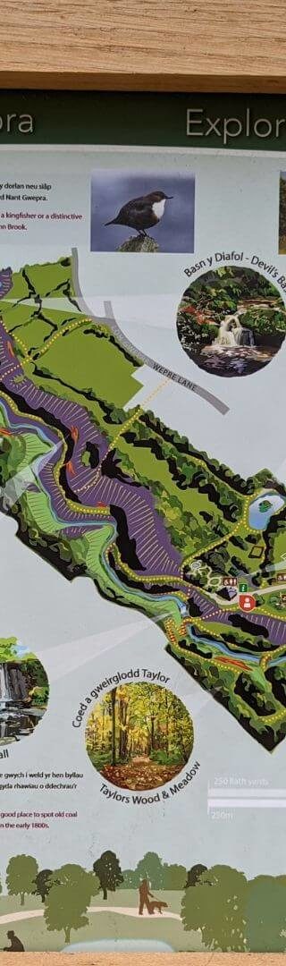 Wepre Park | Attractions | The Beaches Hotel & Spa | North Wales