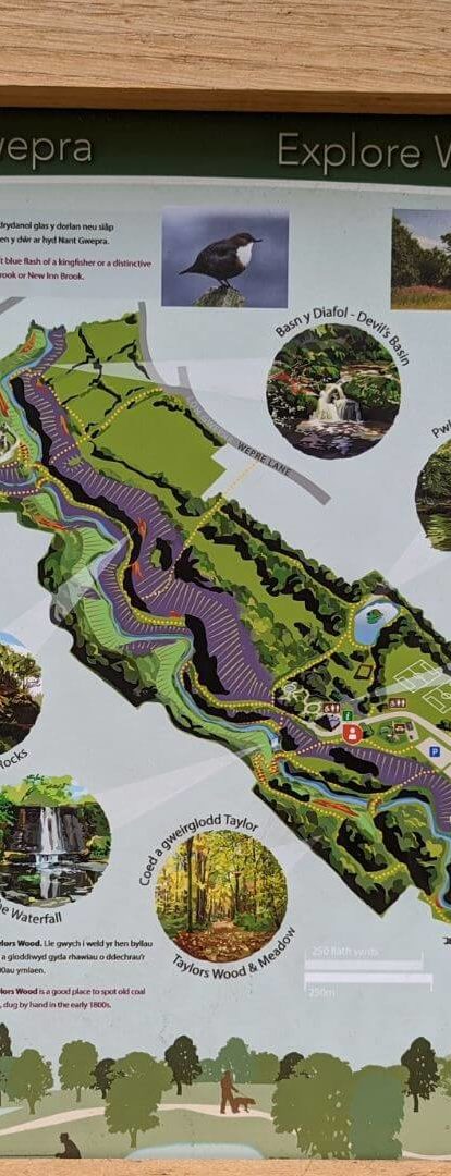 Wepre Park | Attractions | The Beaches Hotel & Spa | North Wales