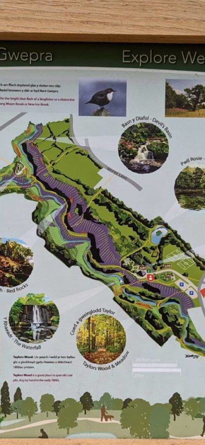 Wepre Park | Attractions | The Beaches Hotel & Spa | North Wales