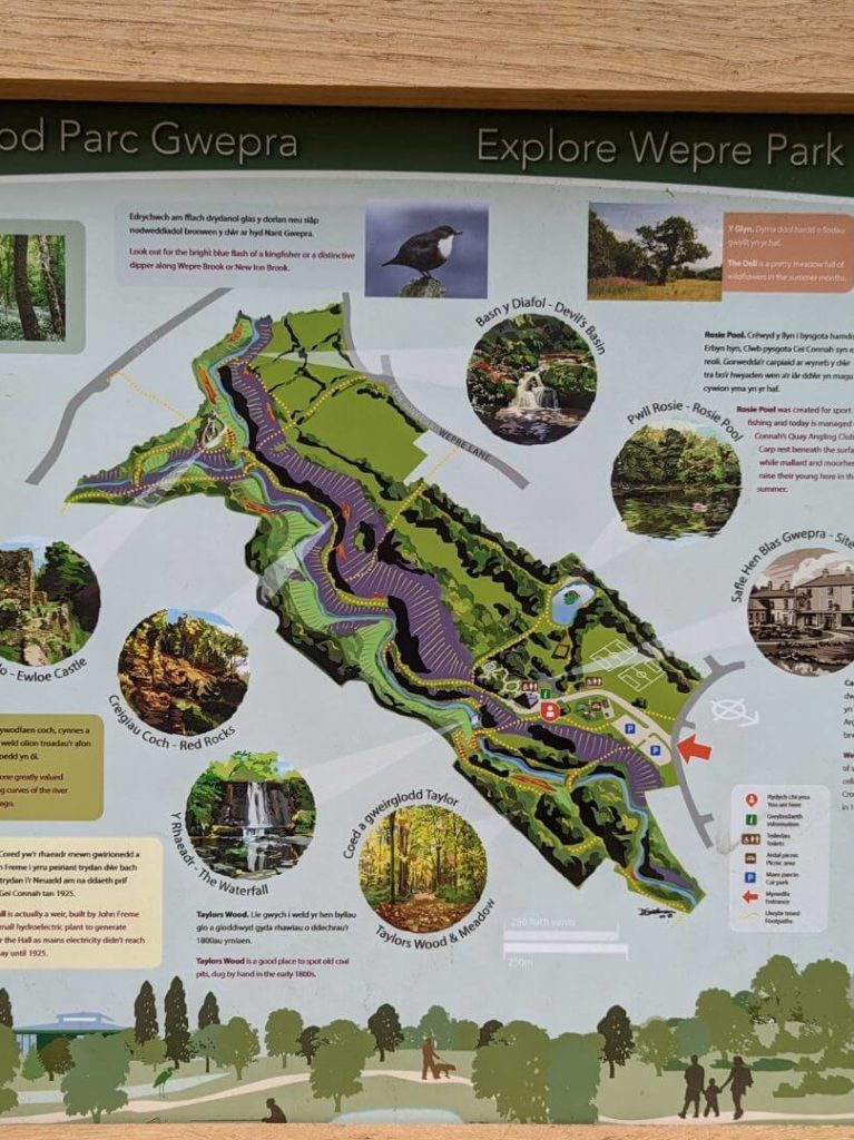 Wepre Park | Attractions | The Beaches Hotel & Spa | North Wales