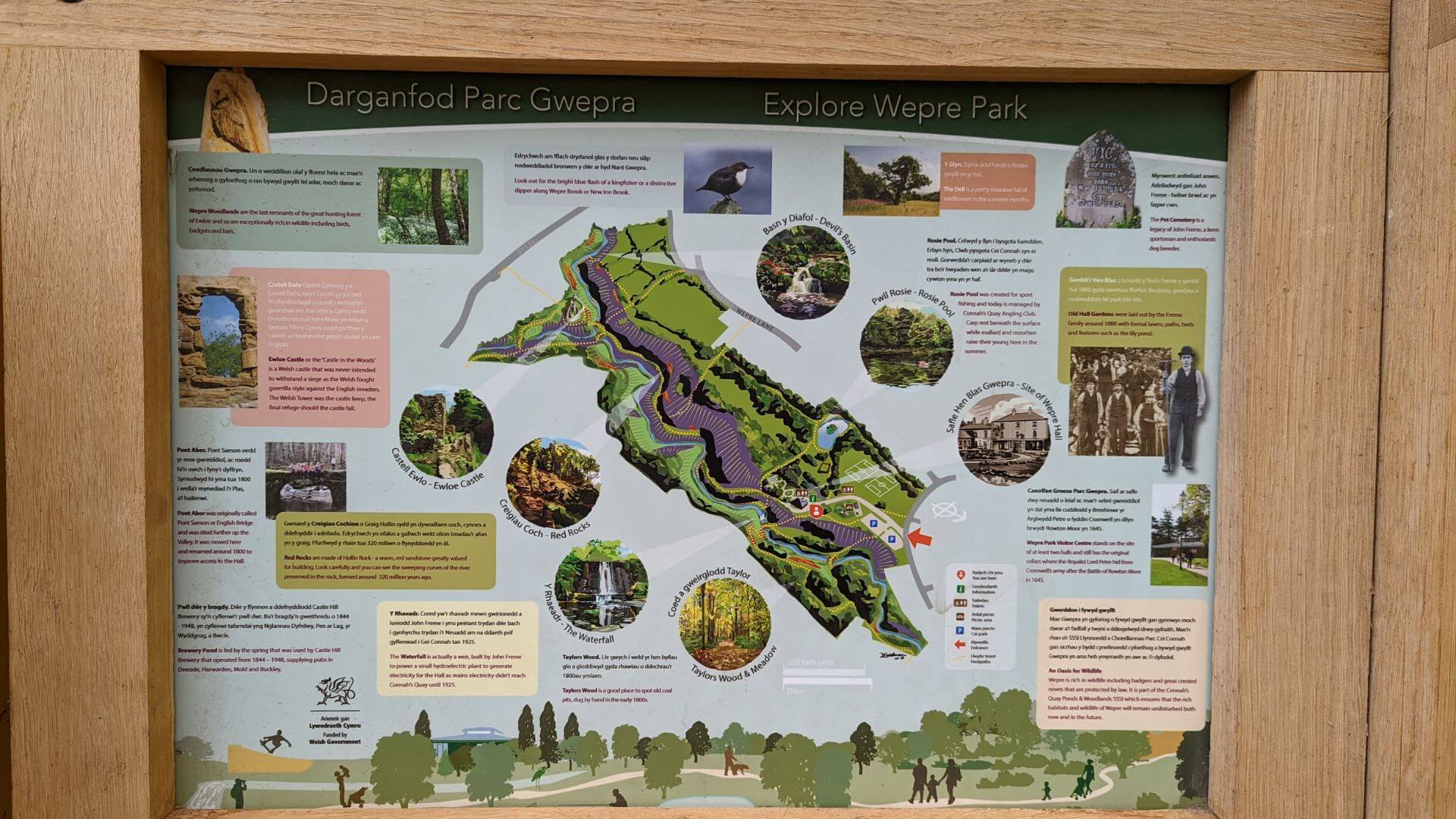 Wepre Park | Attractions | The Beaches Hotel & Spa | North Wales