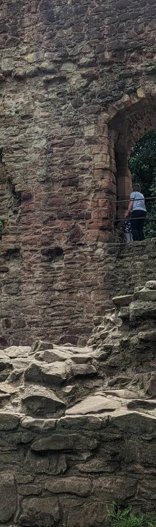 Wepre Park | Attractions | The Beaches Hotel & Spa | North Wales