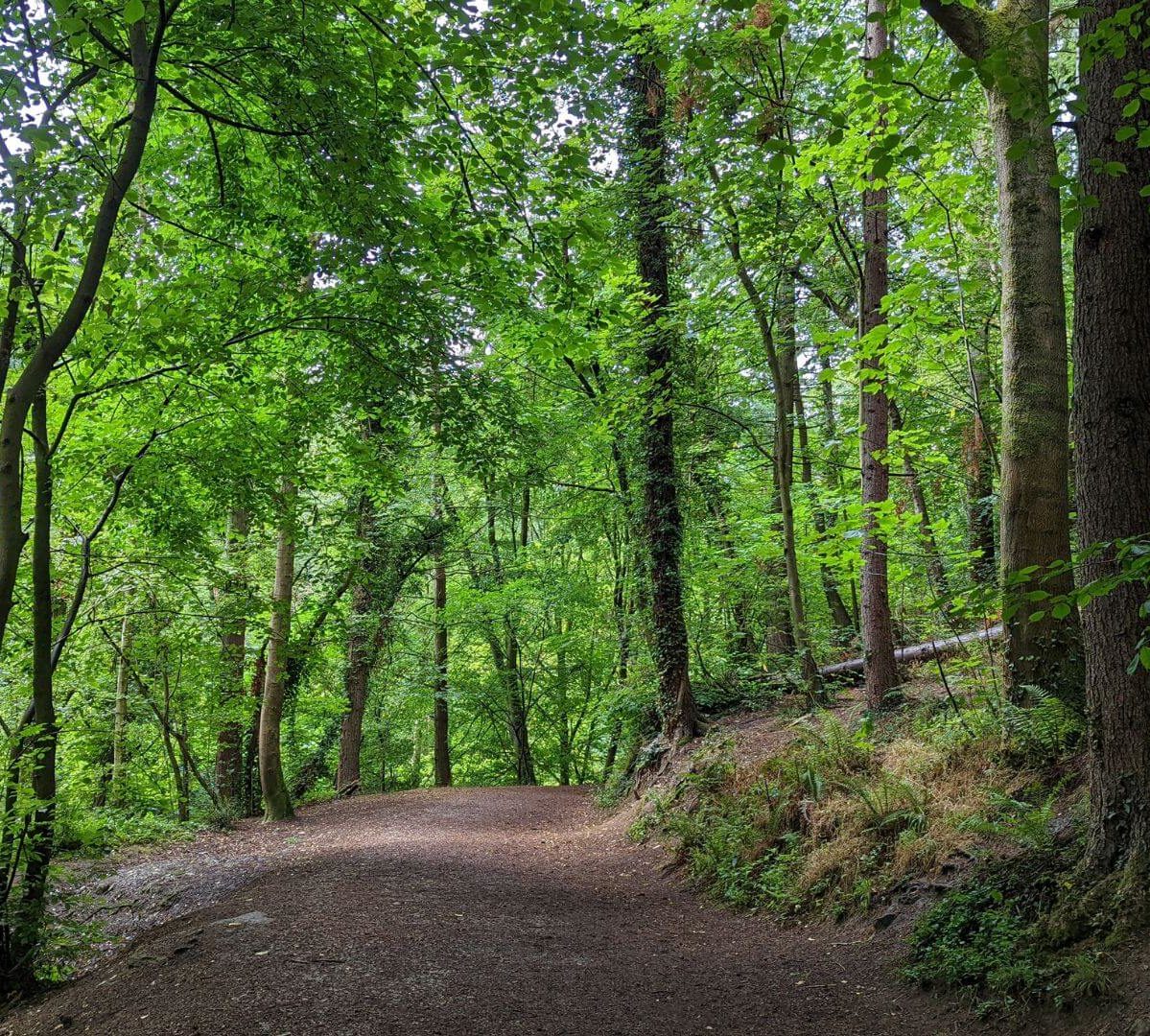 Wepre Park | Attractions | The Beaches Hotel & Spa | North Wales