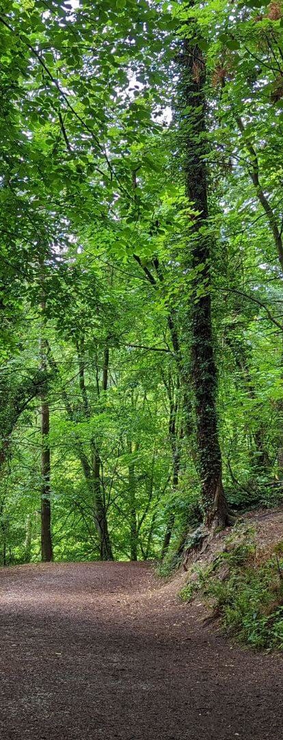 Wepre Park | Attractions | The Beaches Hotel & Spa | North Wales