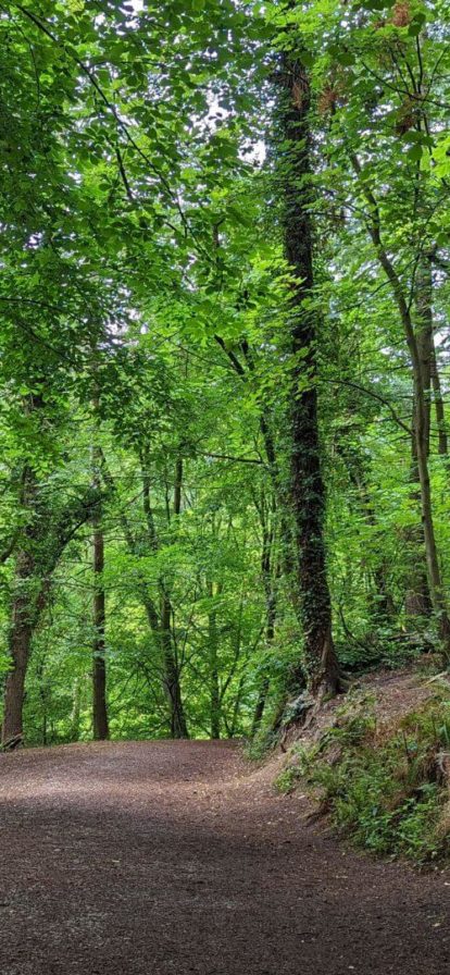 Wepre Park | Attractions | The Beaches Hotel & Spa | North Wales