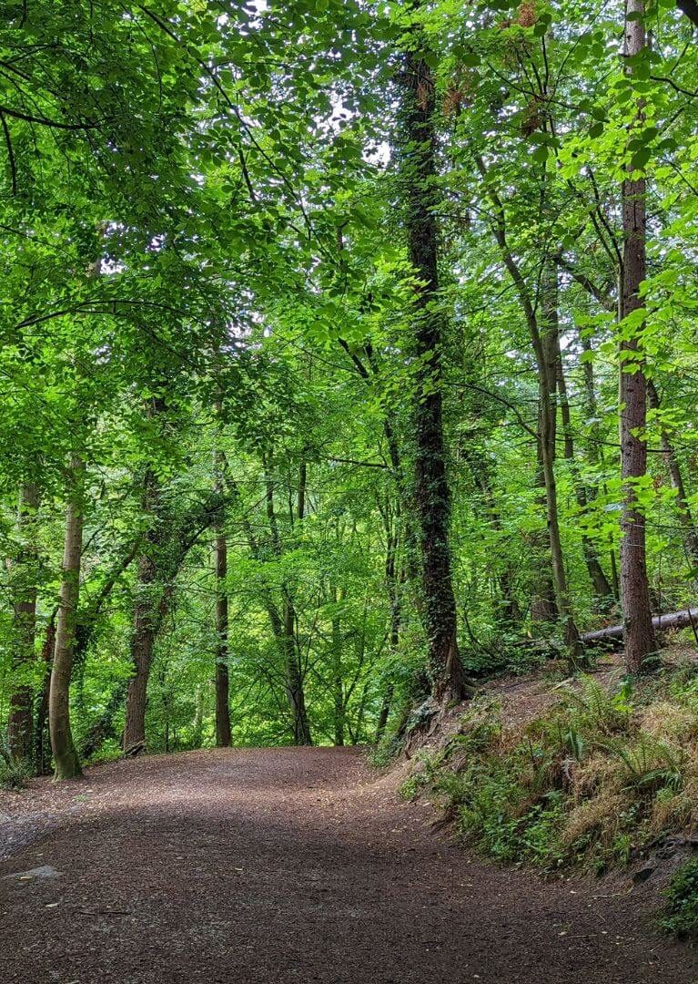 Wepre Park | Attractions | The Beaches Hotel & Spa | North Wales