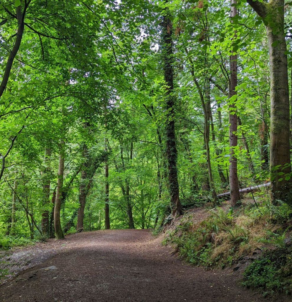 Wepre Park | Attractions | The Beaches Hotel & Spa | North Wales