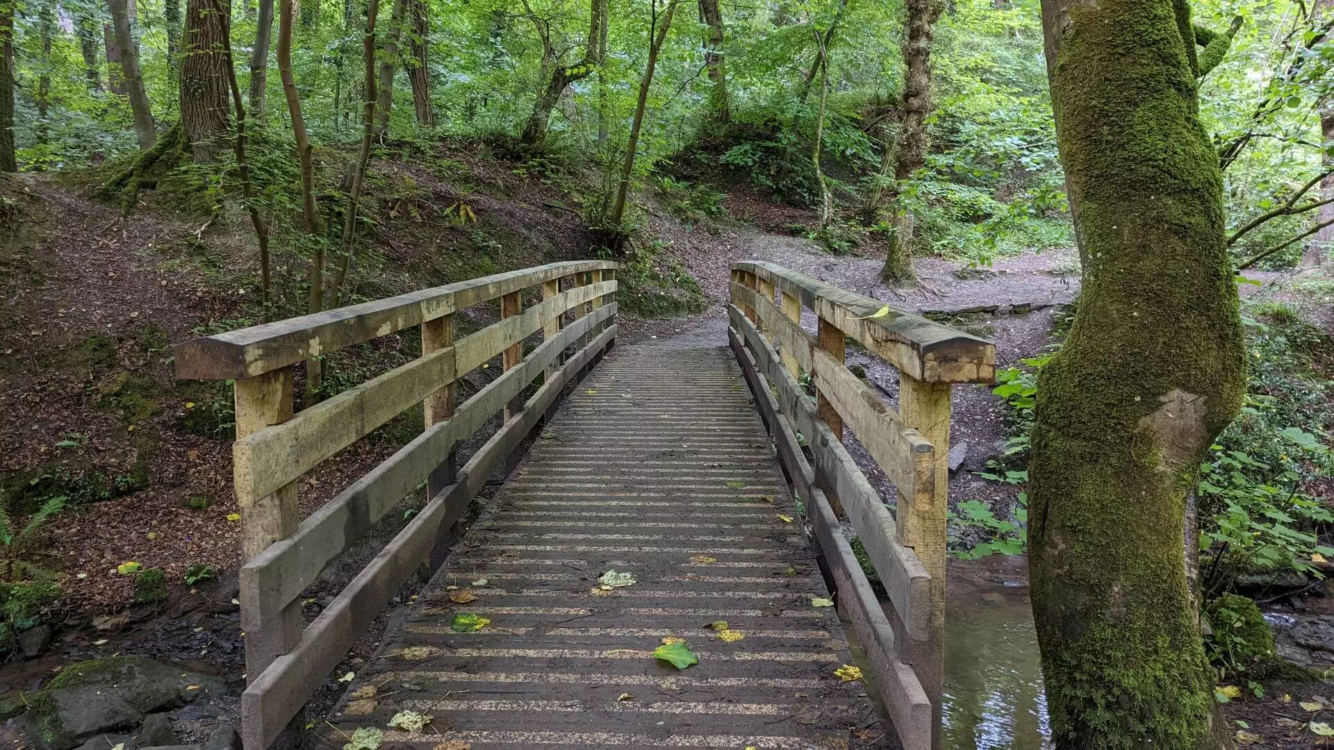 Wepre Park | Attractions | The Beaches Hotel & Spa | North Wales