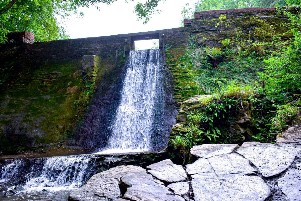 Wepre Park | Attractions | The Beaches Hotel & Spa | North Wales