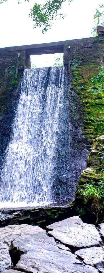 Wepre Park | Attractions | The Beaches Hotel & Spa | North Wales