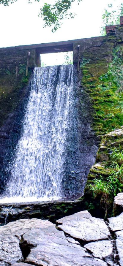 Wepre Park | Attractions | The Beaches Hotel & Spa | North Wales